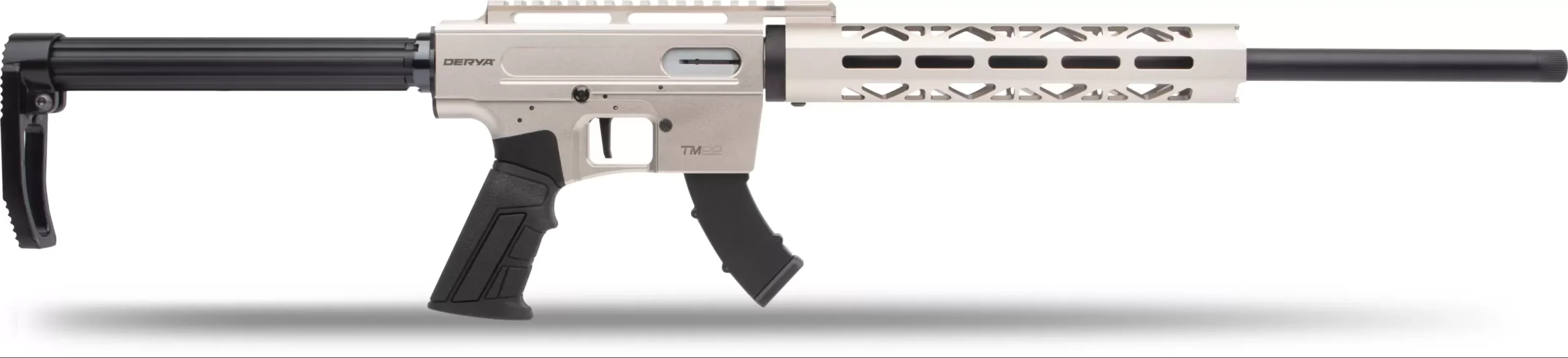 Derya TM22 .22LR semi-auto rifle Stainless finish (Local pick up only ...